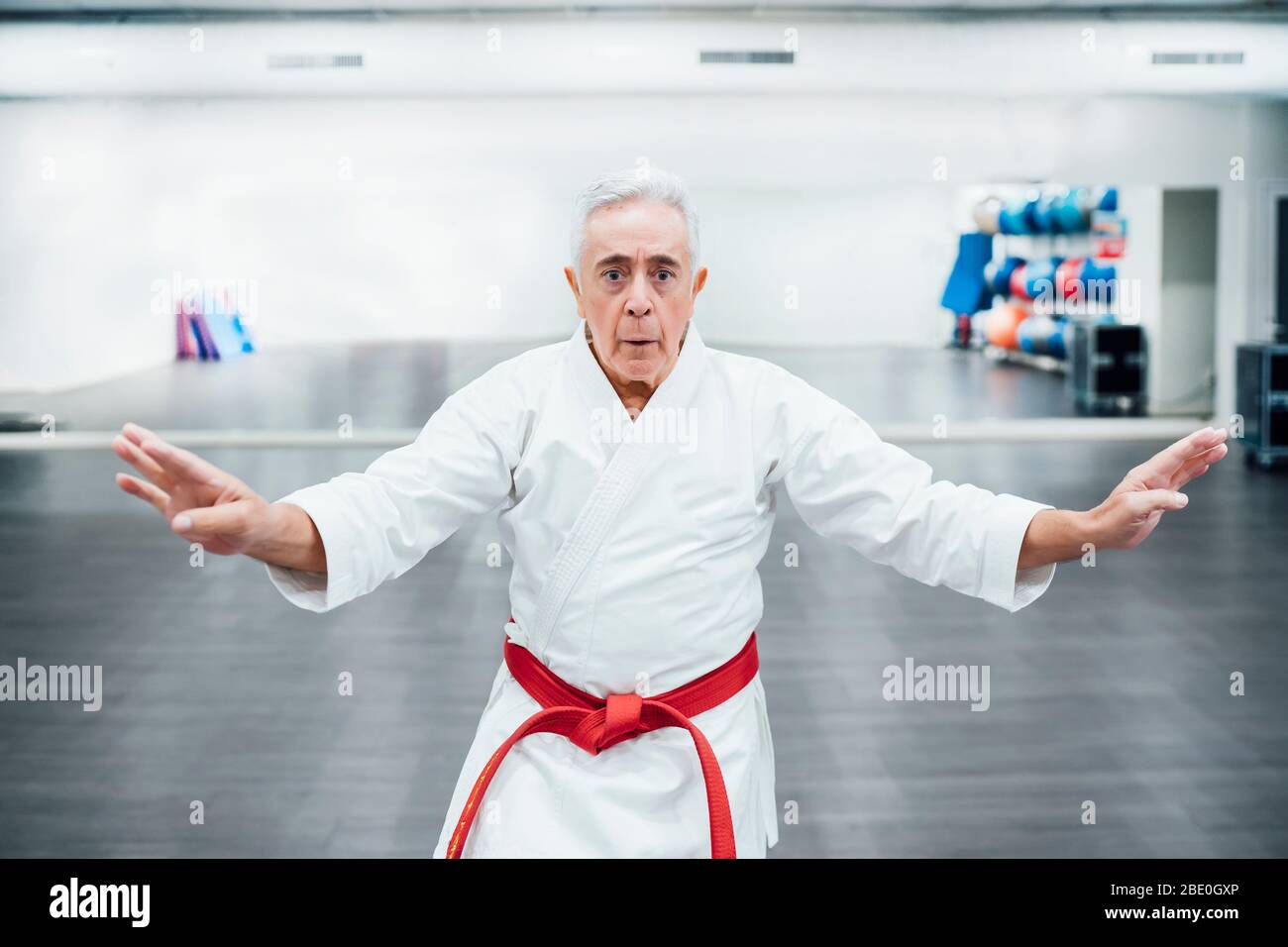 Karate master performing combat techniques Stock Photo - Alamy