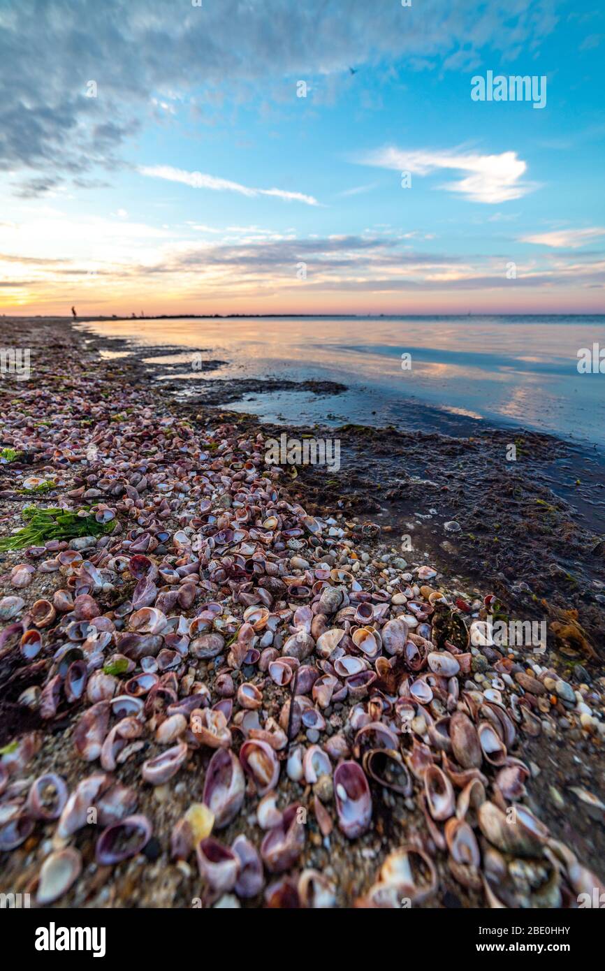 Nantucket ocean hi-res stock photography and images - Alamy