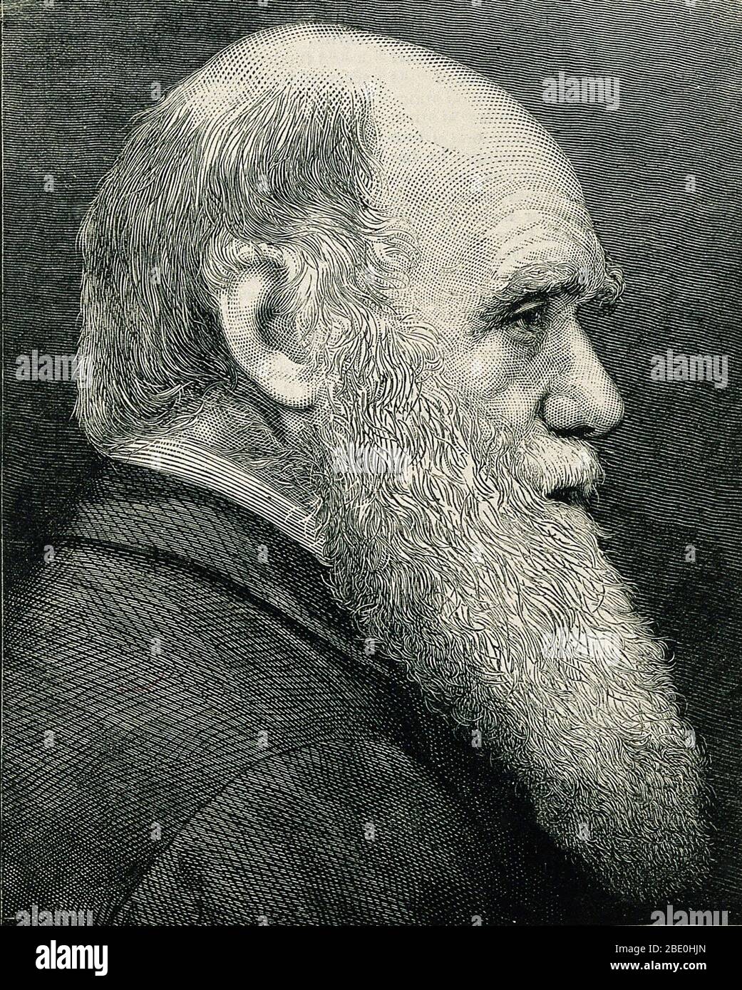 Charles Robert Darwin English Naturalist Geologist Theory Evolution ...