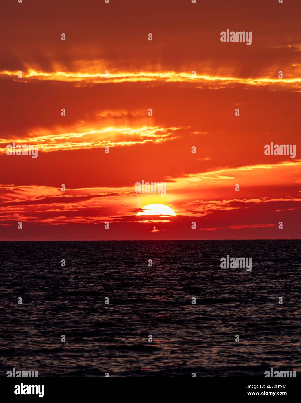 American flag flying above flag hi-res stock photography and images - Alamy