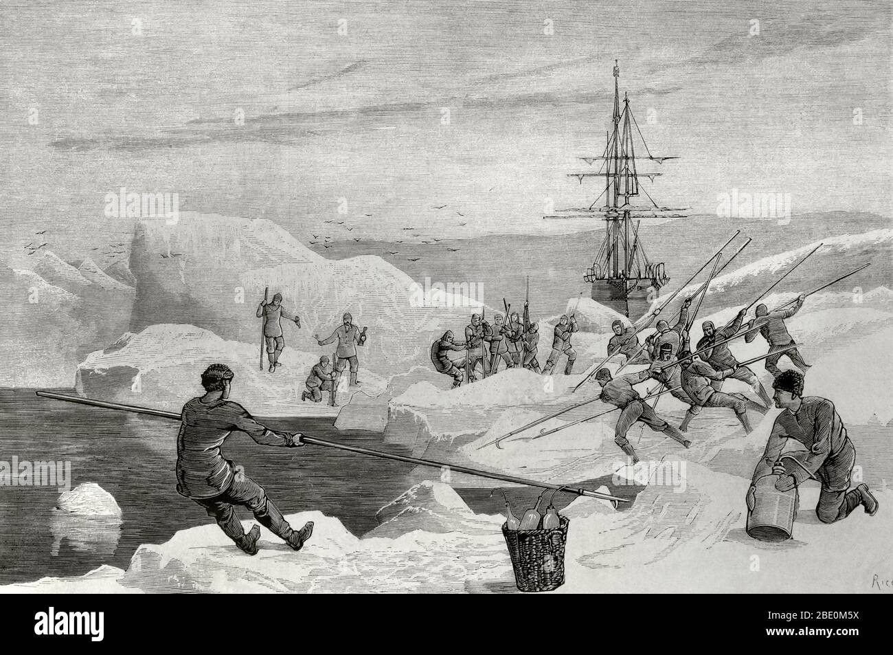 British arctic expedition hi-res stock photography and images - Alamy