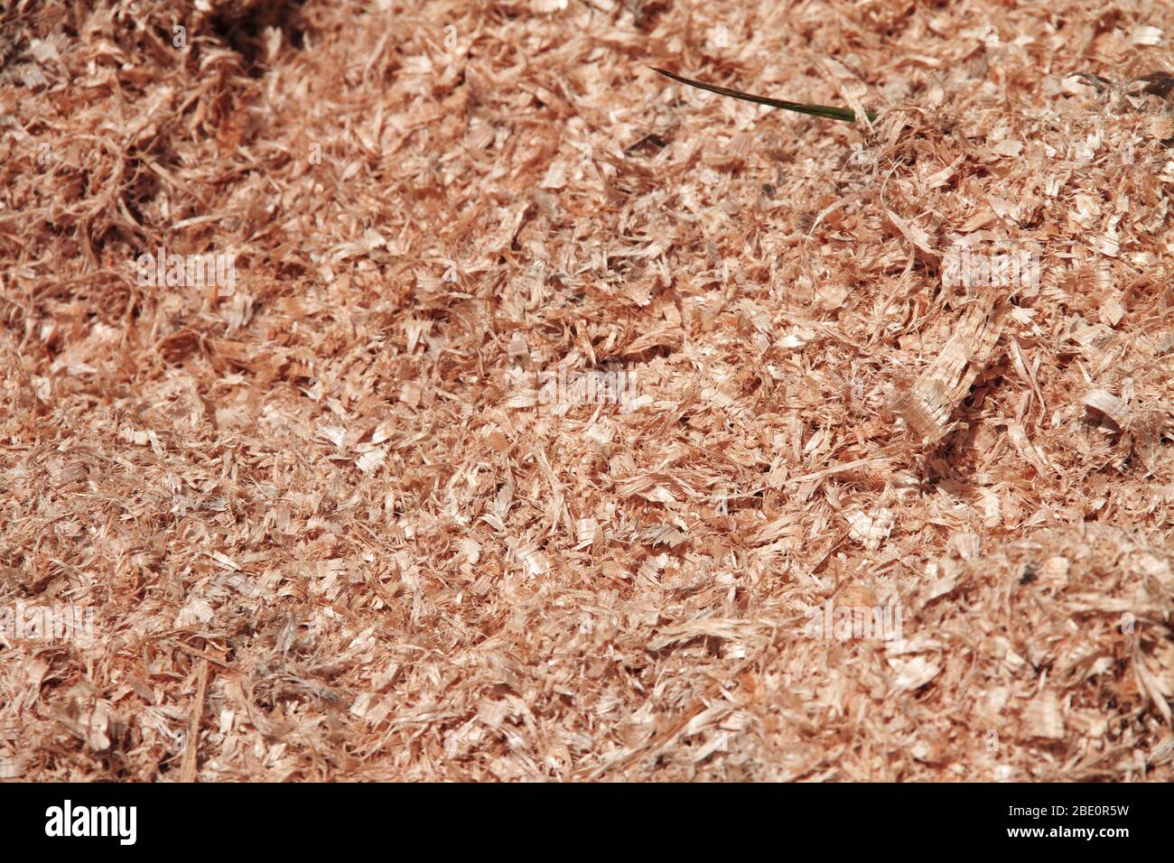 Saw dust hi-res stock photography and images - Alamy