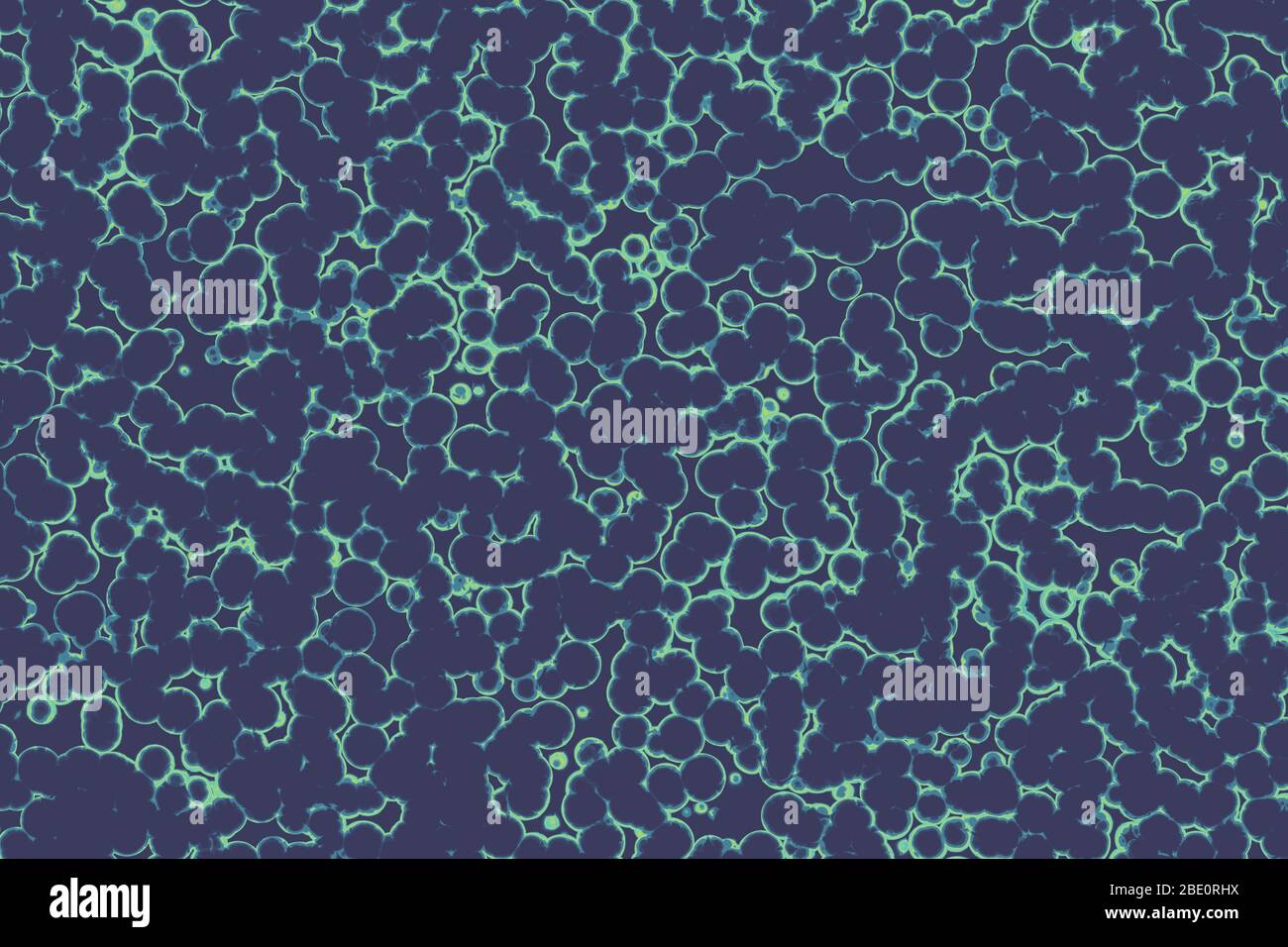 Bacteria micro-organisms disease-causing objects, bacteria, viruses ...