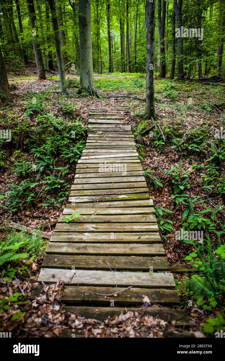 Rickety plank bridges hi-res stock photography and images - Alamy