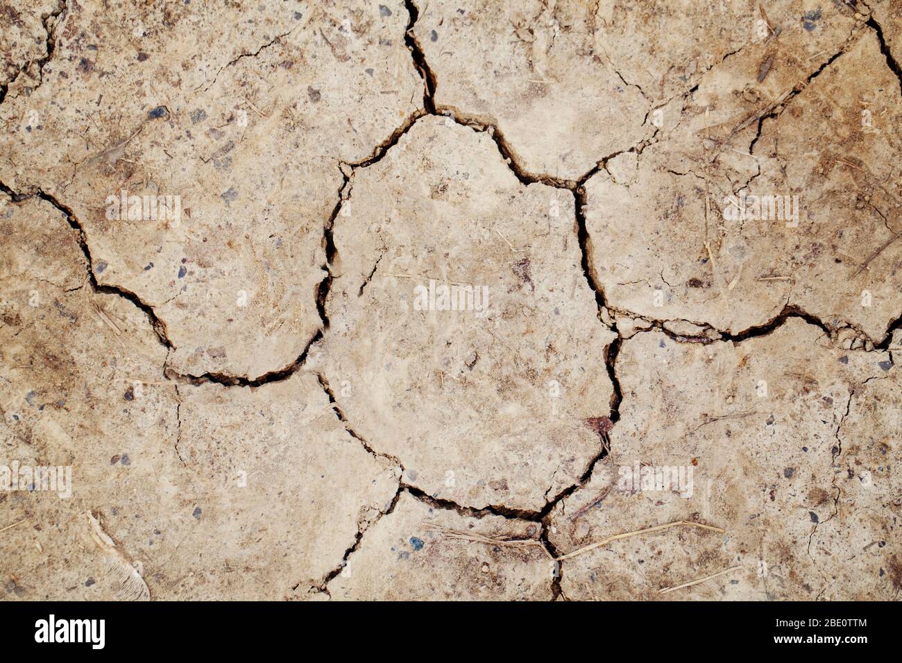 Mud Background Wallpaper