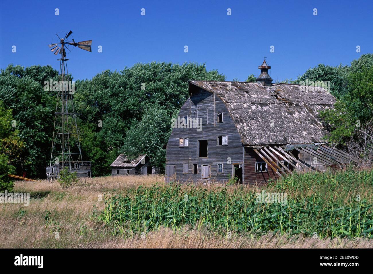 Barn with windmill, Murray County, Minnesota Stock Photo - Alamy