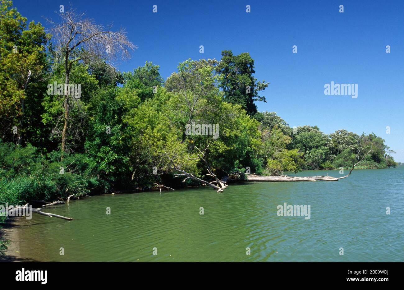 Lake Shetek, Lake Shetek State Park, Minnesota Stock Photo - Alamy