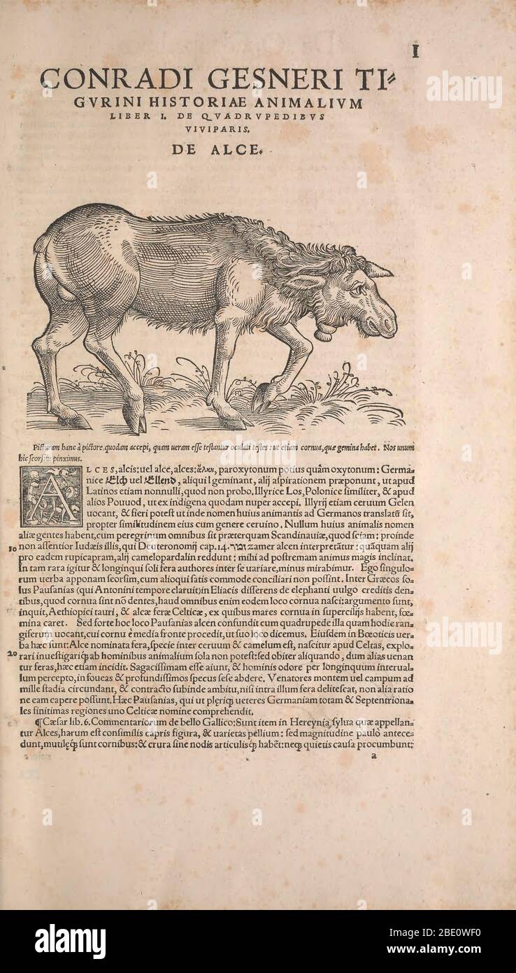 Historia animalium ("History of the Animals"), published in 1551–1558 ...