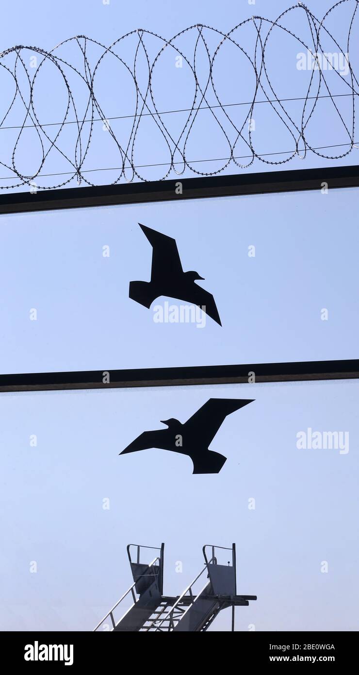 Shape of birds hi-res stock photography and images - Alamy