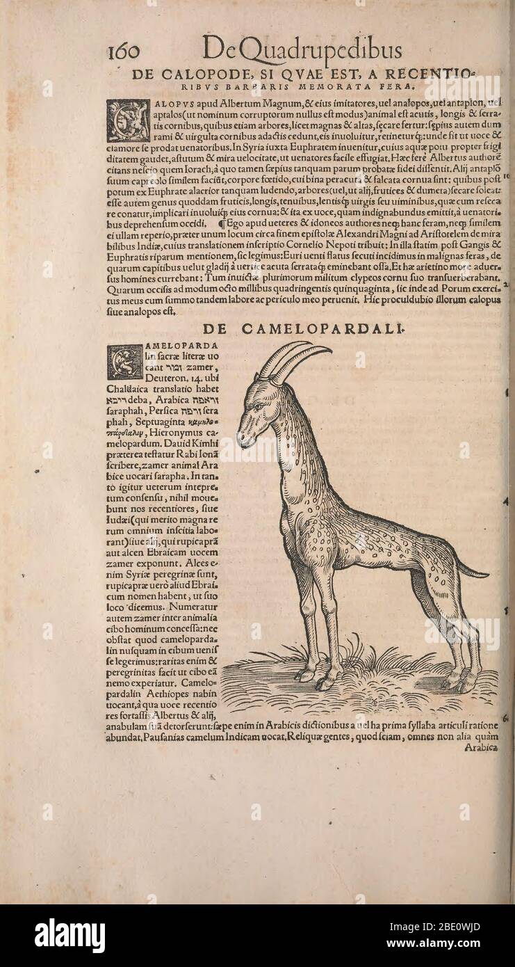 Historia animalium ("History of the Animals"), published in 1551–1558 ...
