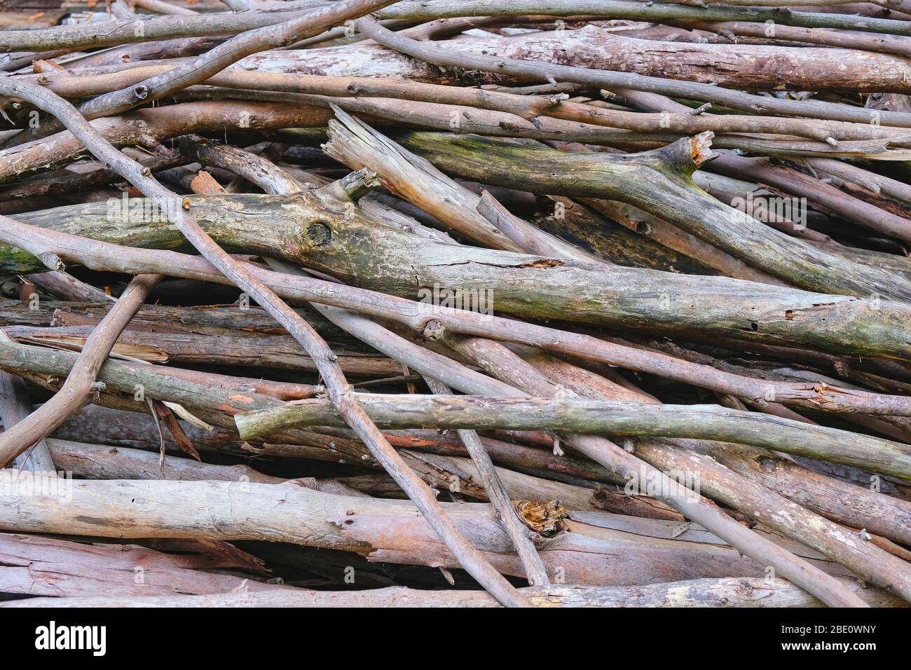 Pile of dead tree branches showing grain and texture Stock Photo - Alamy