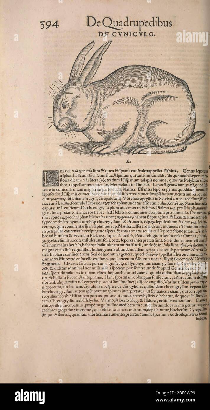 Historia animalium ("History of the Animals"), published in 1551–1558 ...