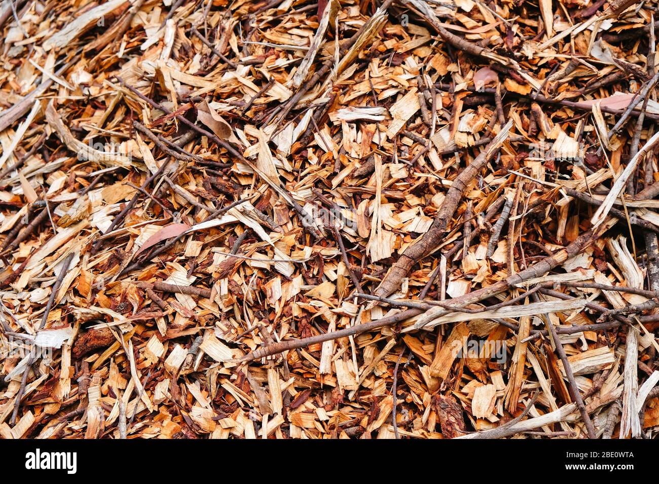Mulched tree hi-res stock photography and images - Alamy