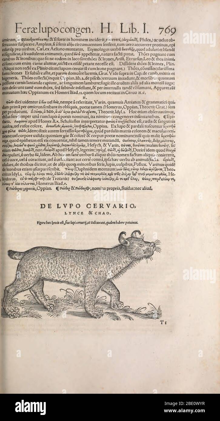 Historia animalium ("History of the Animals"), published in 1551–1558 ...
