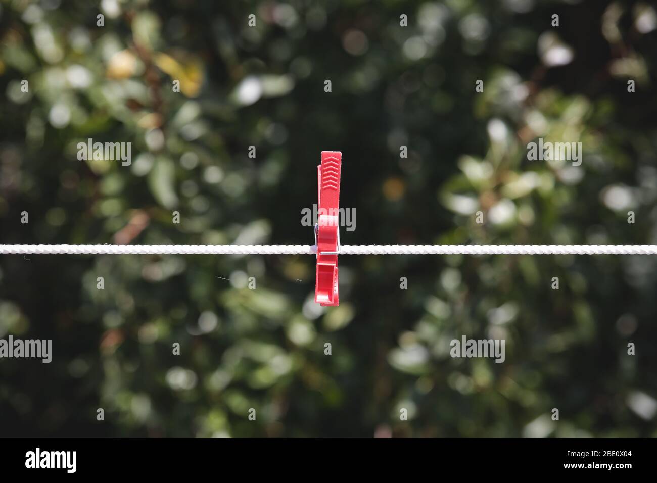 Red Clothespin on a cord line Stock Photo - Alamy