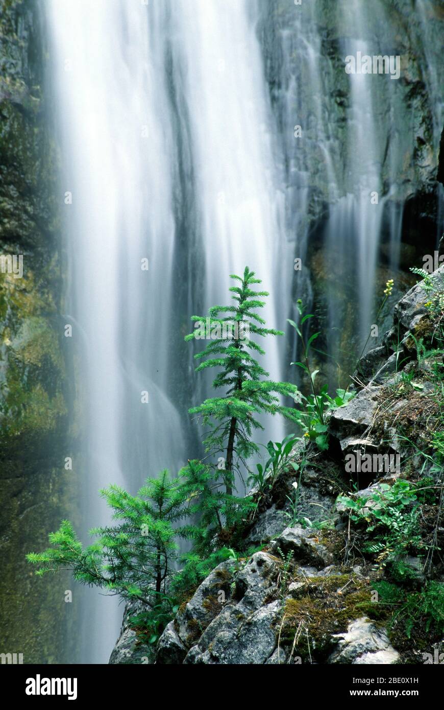 Mill Falls, Lewis & Clark National Forest, Montana Stock Photo - Alamy