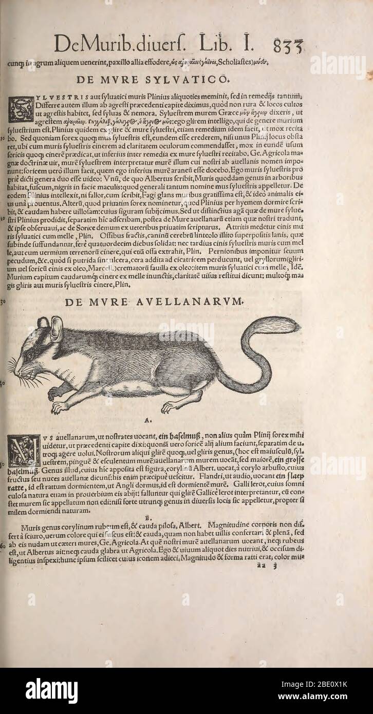 Historia animalium ("History of the Animals"), published in 1551–1558 ...