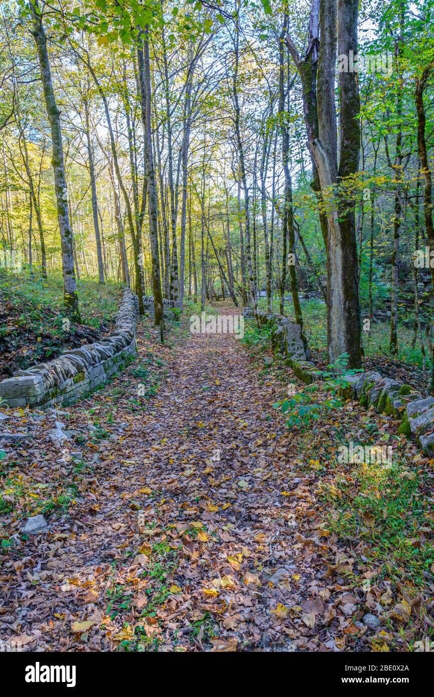 Frontier road in the Lower Howard's Creek Nature and Heritage Preserve ...