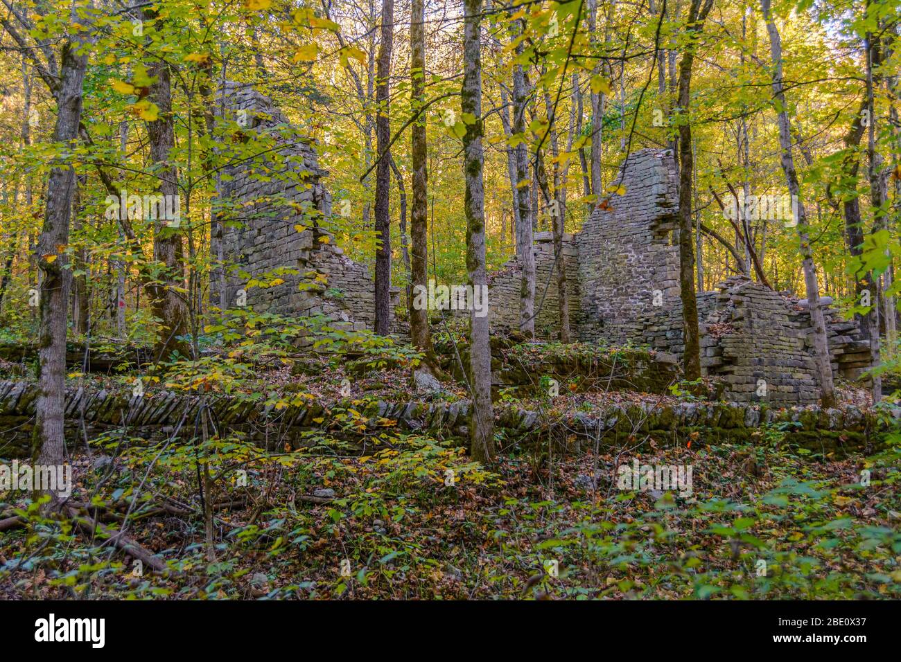 Remains of mill built in the late 18th century near Fort Boonesborough ...