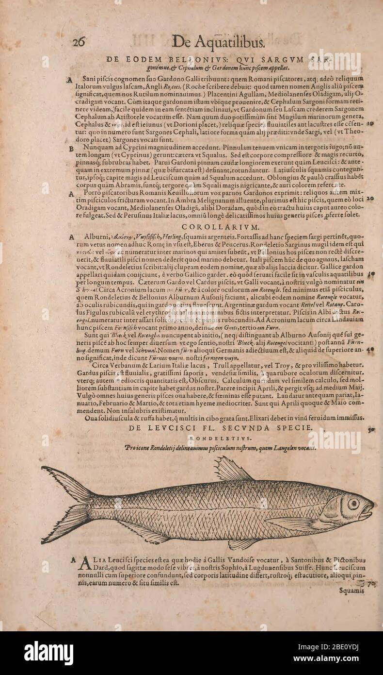 Historia animalium fish hi-res stock photography and images - Alamy