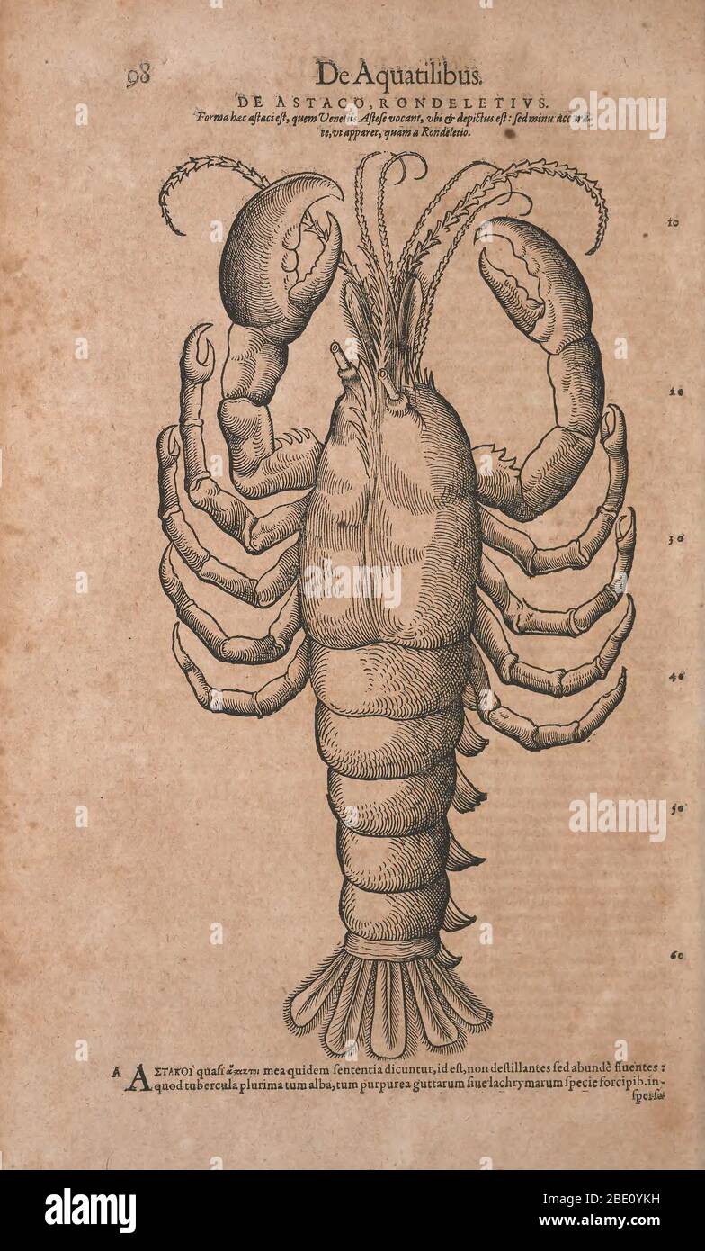 Historia animalium ("History of the Animals"), published in 1551–1558 ...