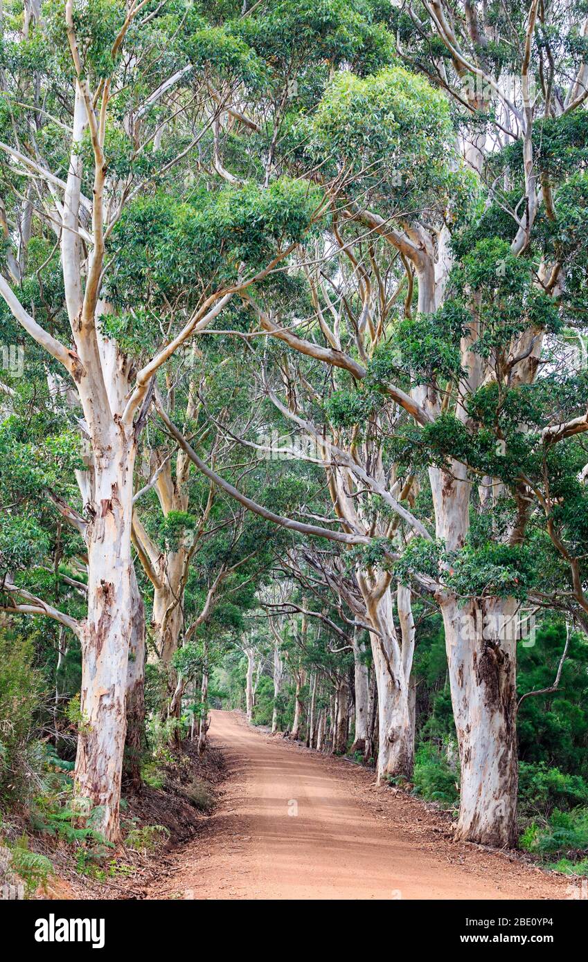 Off road track through hi-res stock photography and images - Alamy