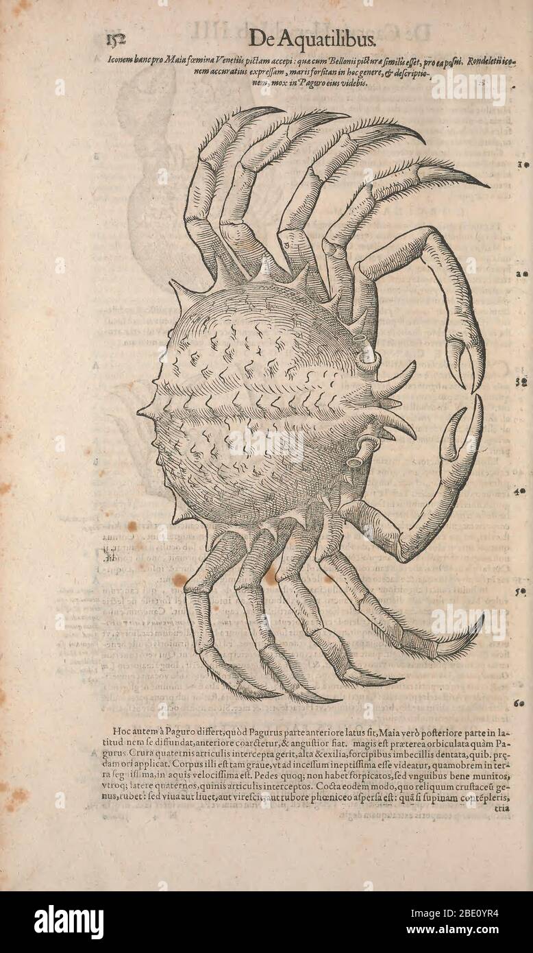 Historia animalium ("History of the Animals"), published in 1551–1558 ...