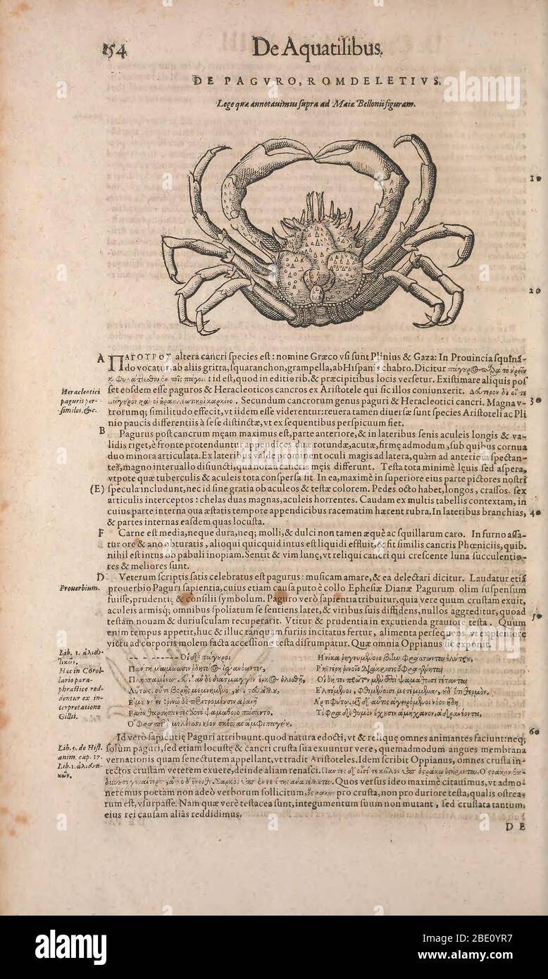 Historia animalium ("History of the Animals"), published in 1551–1558 ...
