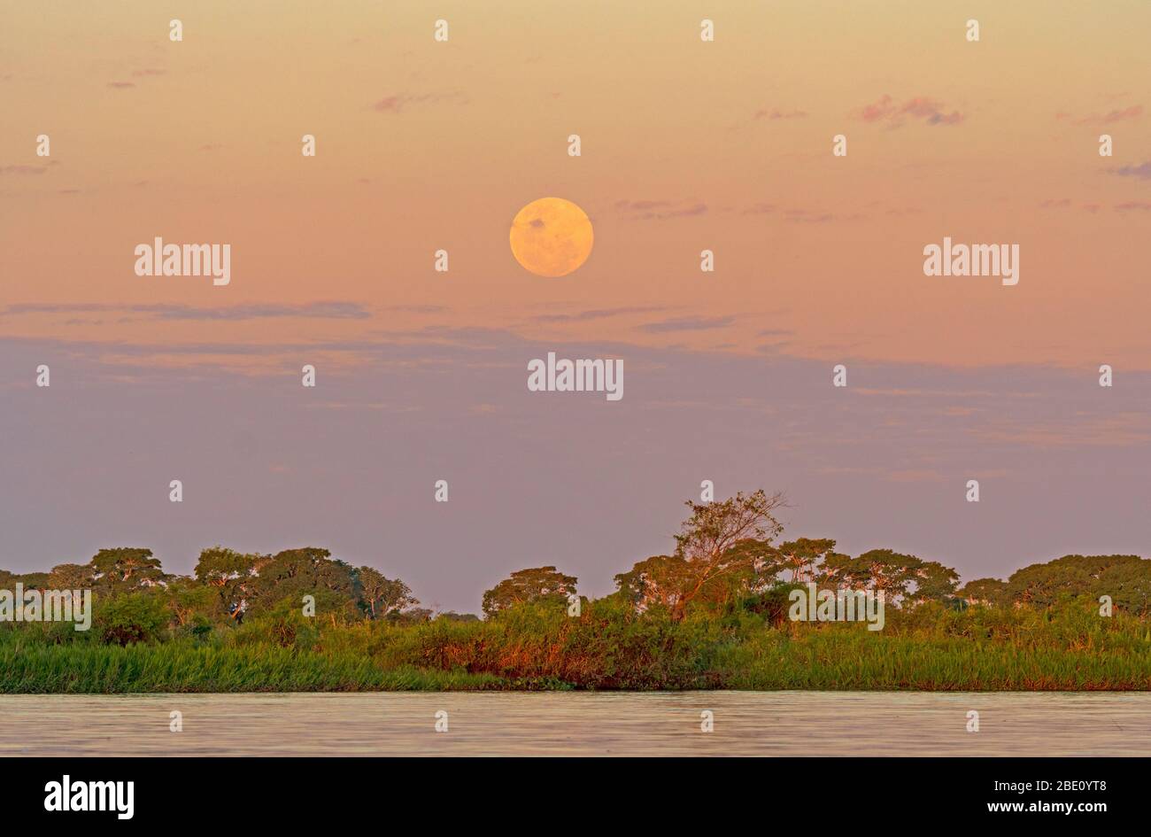 Moonrise over the Tropical Forest in Patanal National Park in Brazil ...