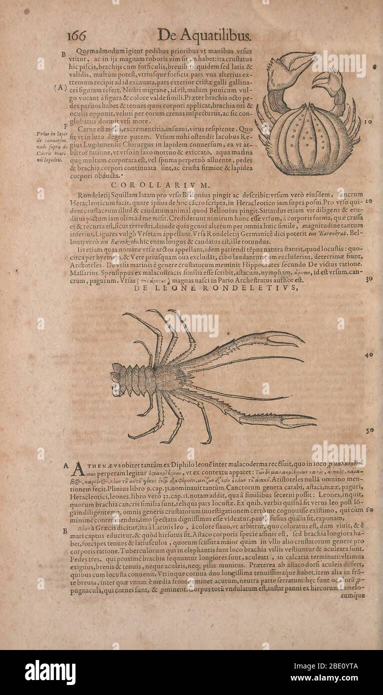 Historia animalium ("History of the Animals"), published in 1551–1558 ...
