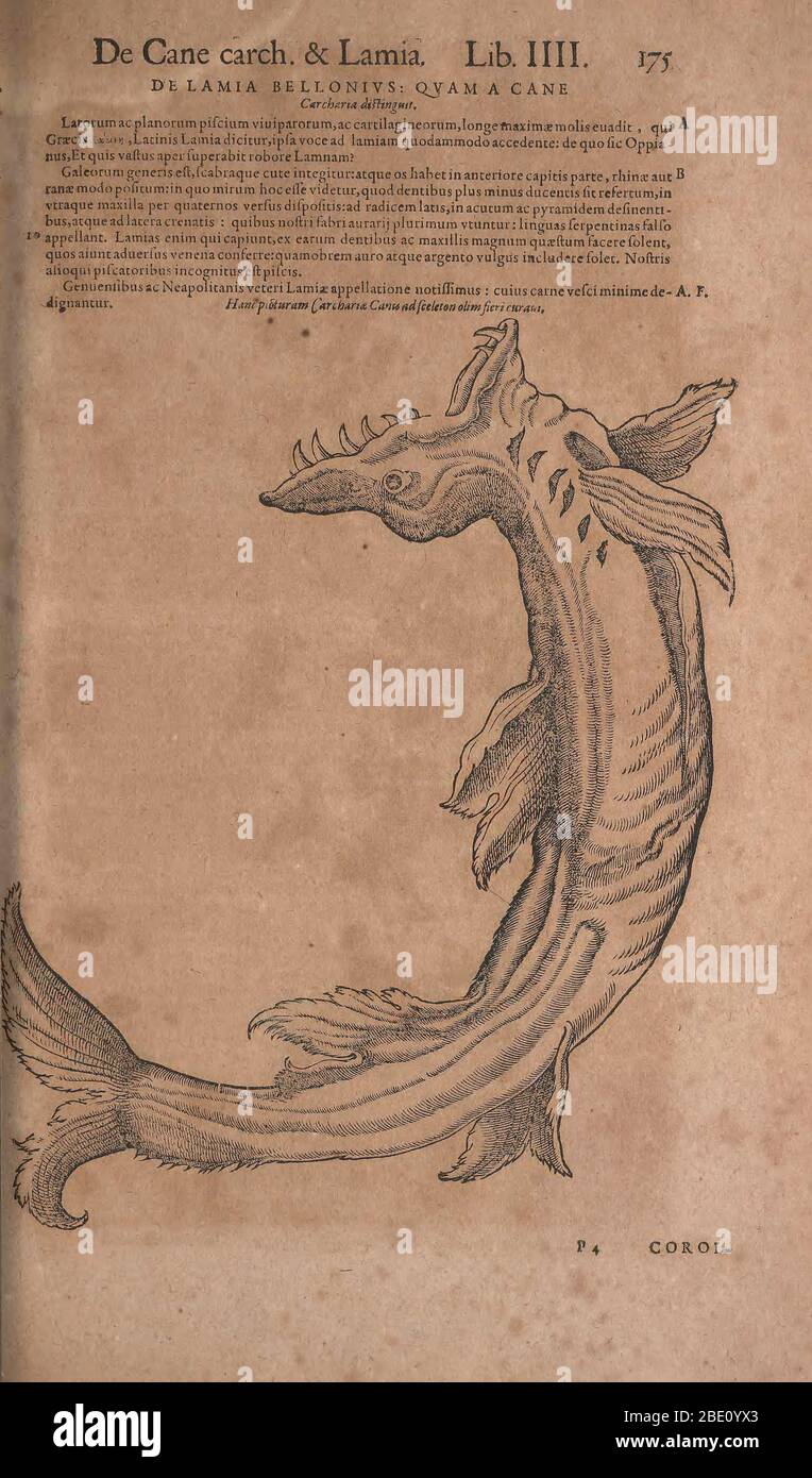 Historia animalium ("History of the Animals"), published in 1551–1558 ...
