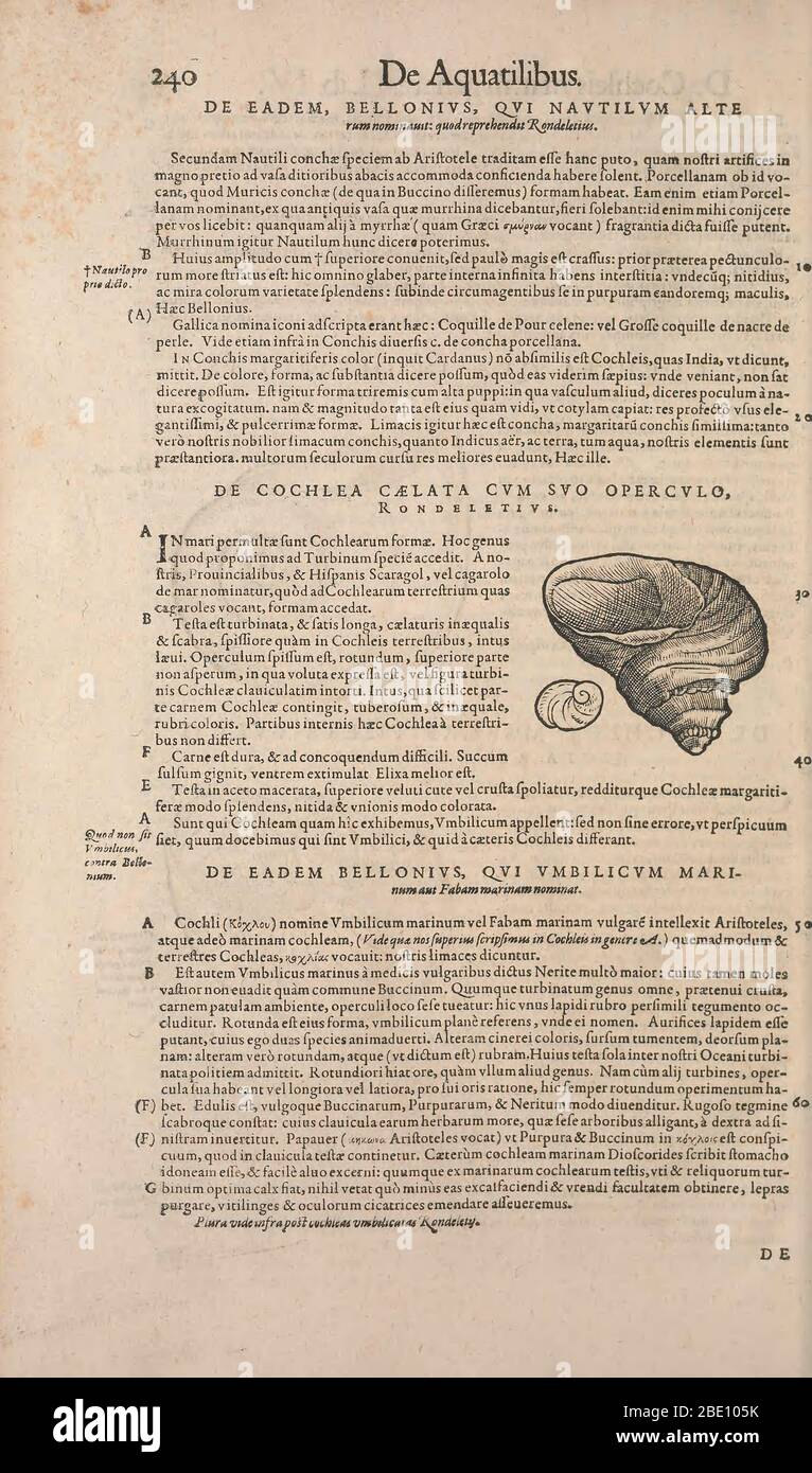 Historia animalium ("History of the Animals"), published in 1551–1558 ...