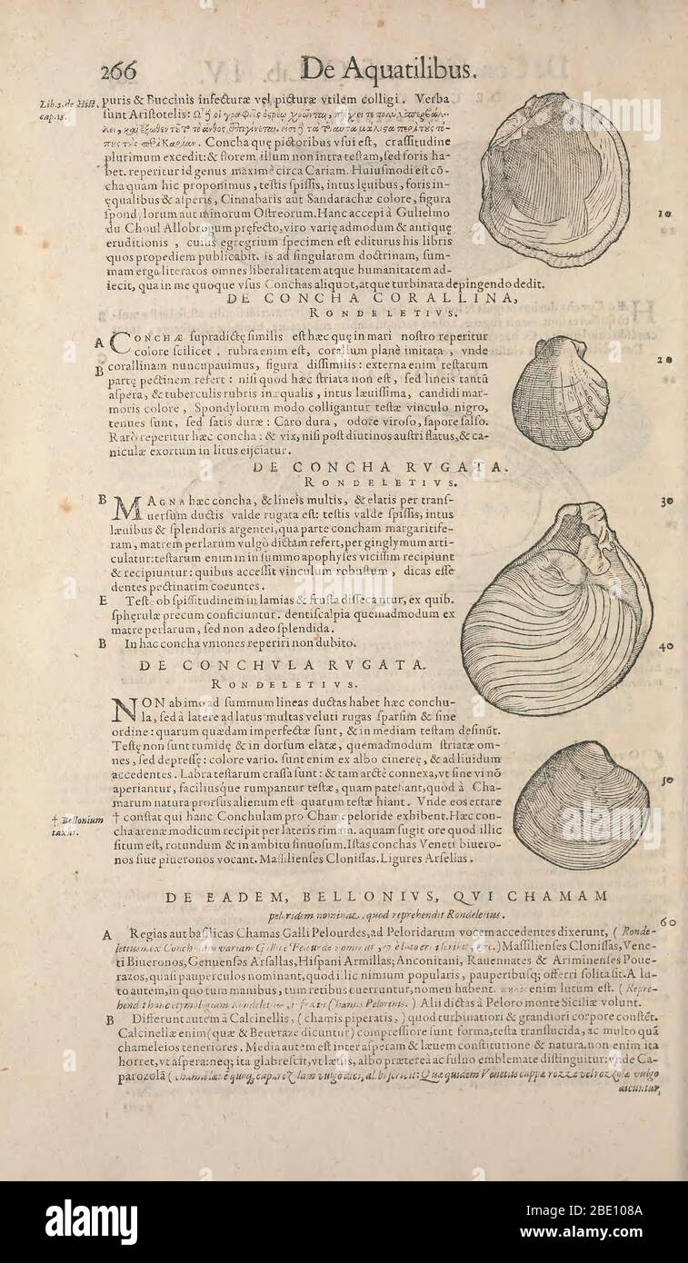 Historia animalium ("History of the Animals"), published in 1551–1558 ...