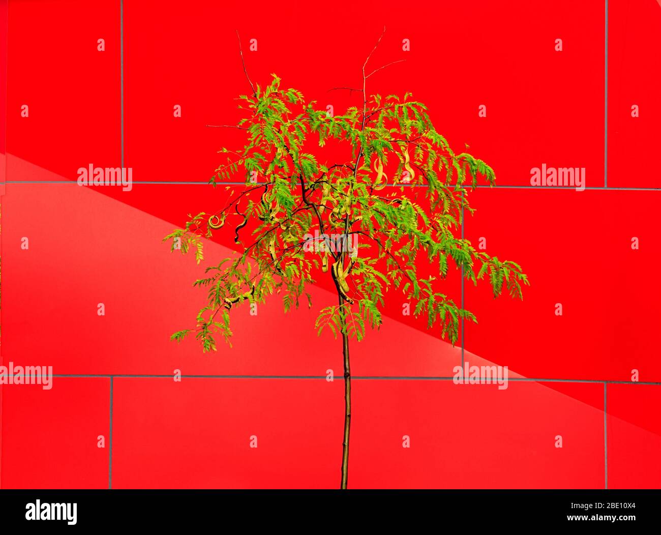 Modern green wall hi-res stock photography and images - Alamy