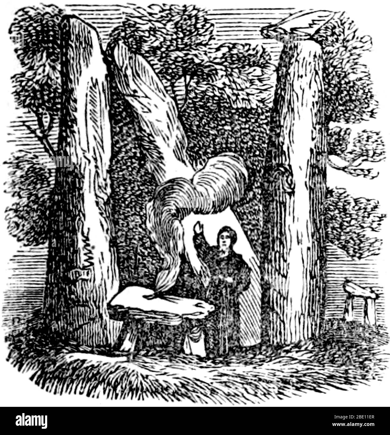 Archdruid hi-res stock photography and images - Alamy