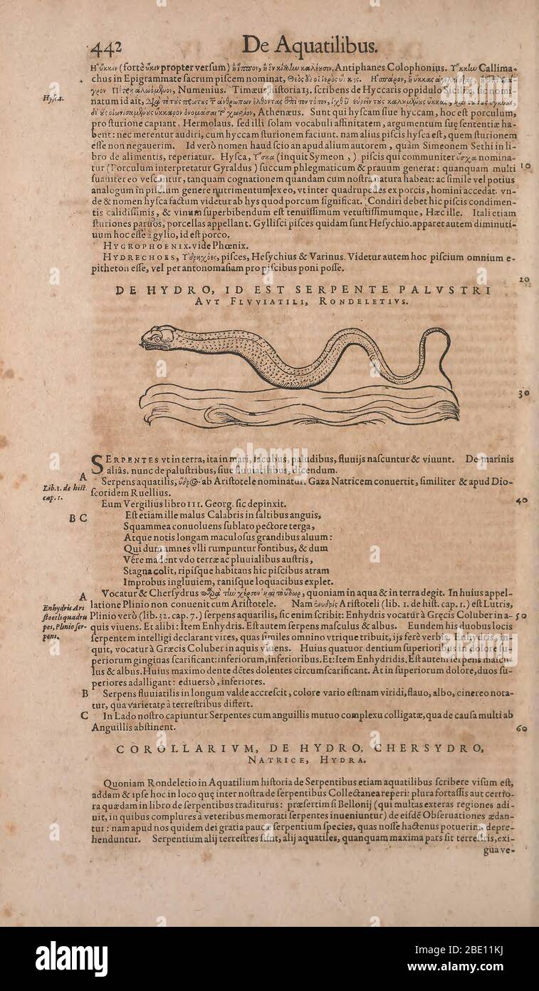 Historia animalium ("History of the Animals"), published in 1551–1558 ...