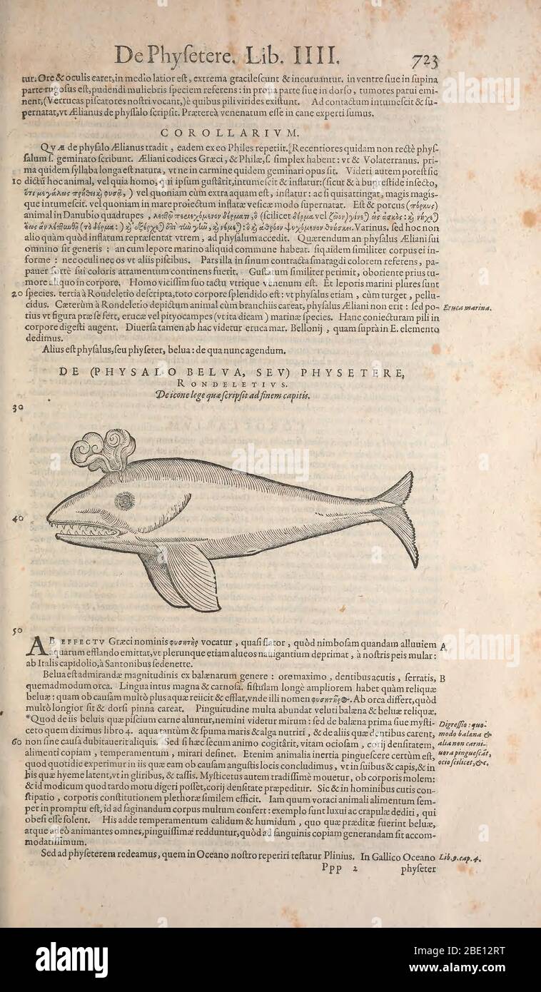 Historia animalium ("History of the Animals"), published in 1551–1558 ...