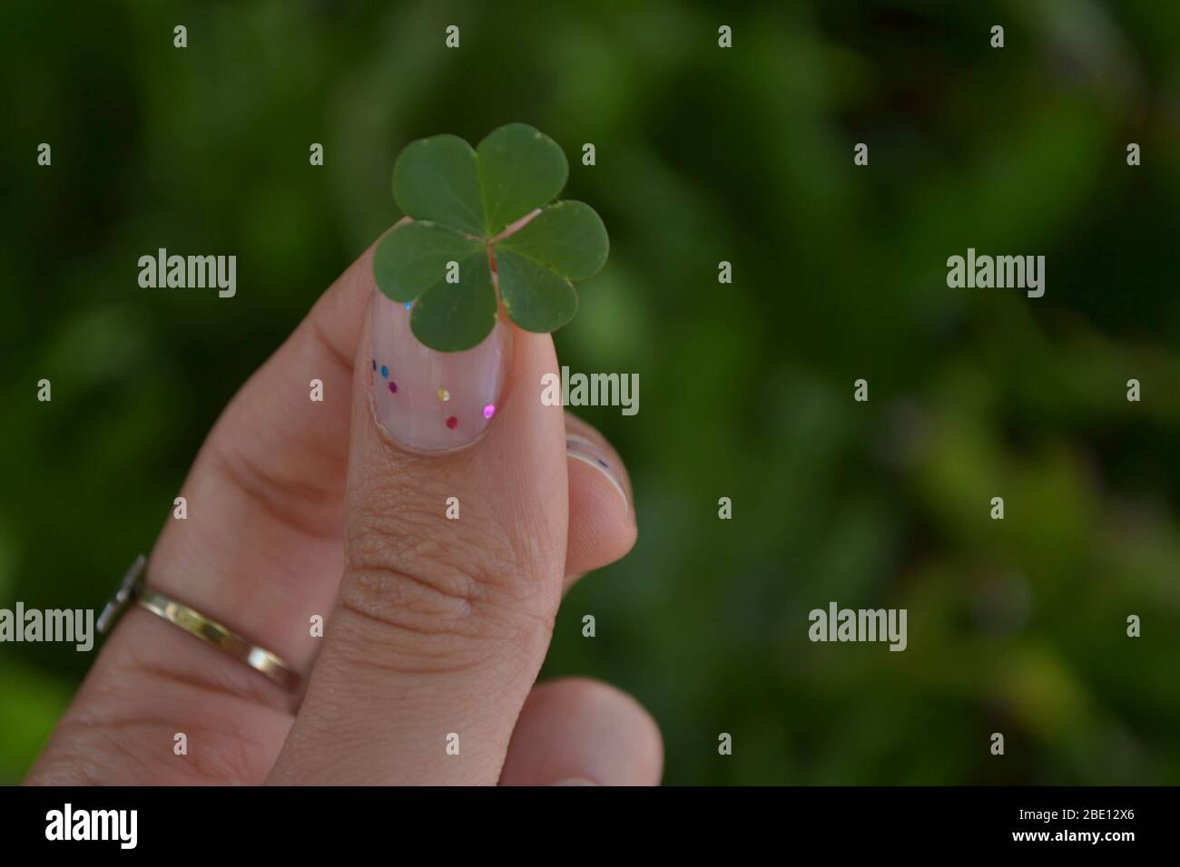 Four leaf clover woman hi-res stock photography and images - Alamy
