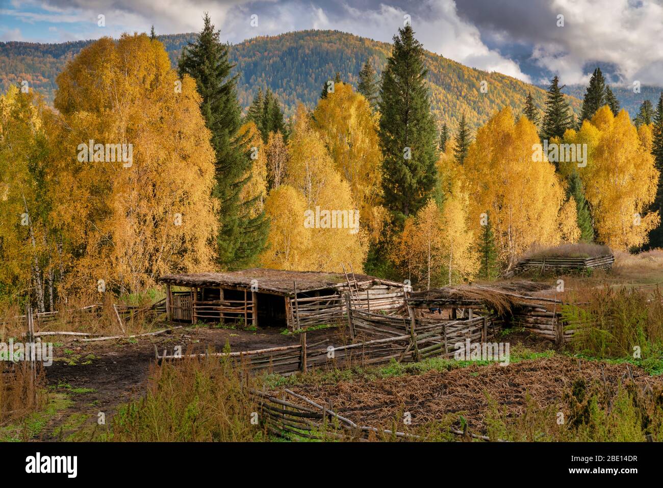 Colorful foliage of Autumn in the Altay mountain of Xinjiang, China ...