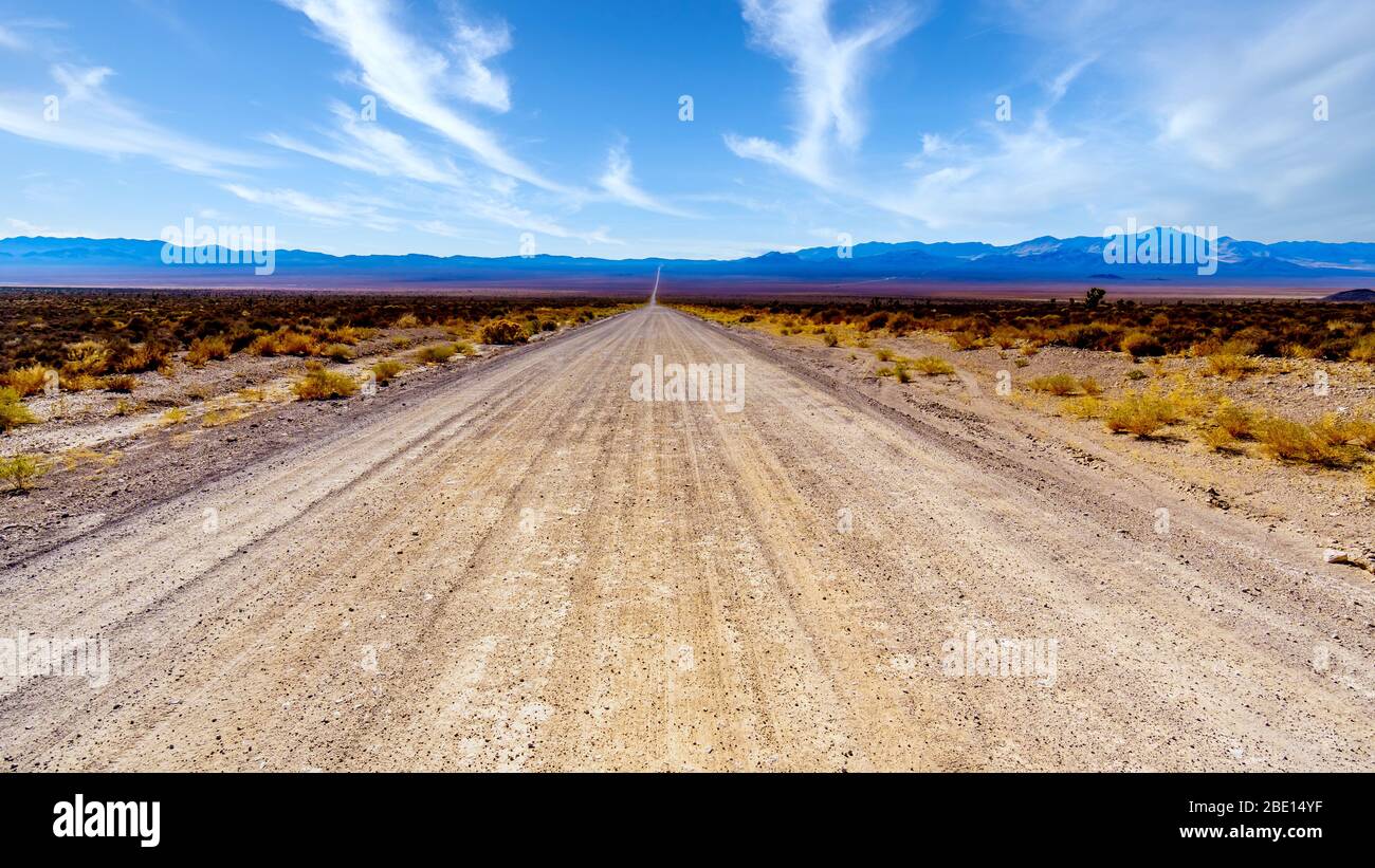 A long and straight gravel road in the semi desert landscape near ...