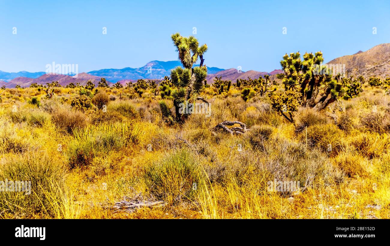 Homey airport hi-res stock photography and images - Alamy