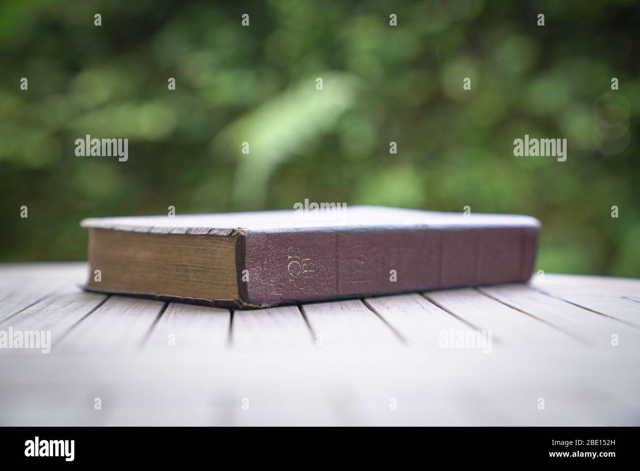 Holy Bible with brown color cover on the wood table. Green nature ...