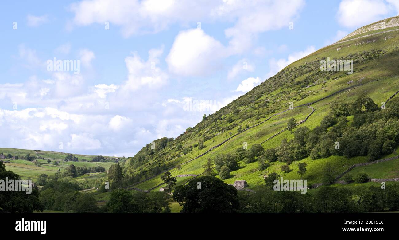Steep hillside with tree cover and green fields in the Yorkshire Dales ...