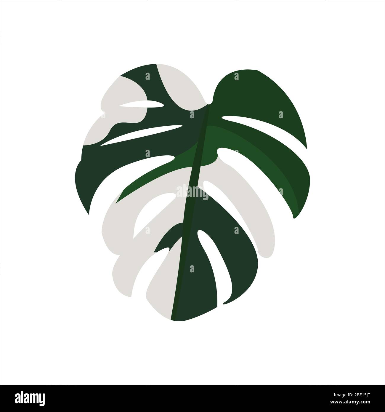 Botanical leaf clip art natural illustration Stock Vector Image & Art ...