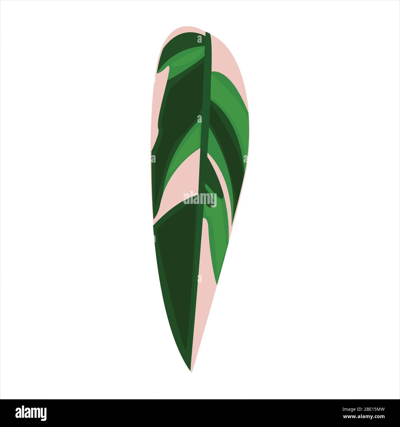 Botanical leaf clip art natural illustration Stock Vector Image & Art ...