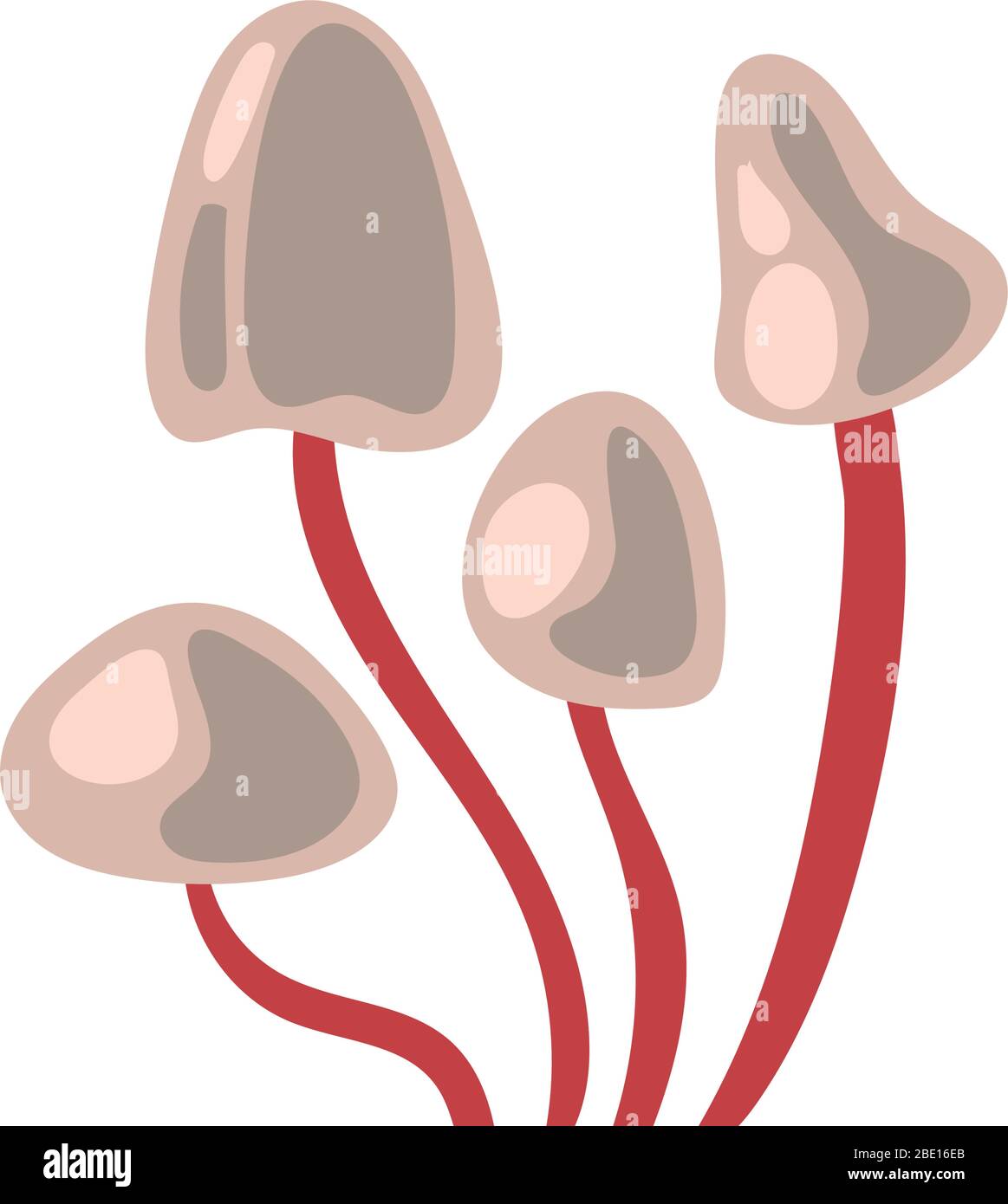 fungus plants hand draw style icons Stock Vector Image & Art - Alamy