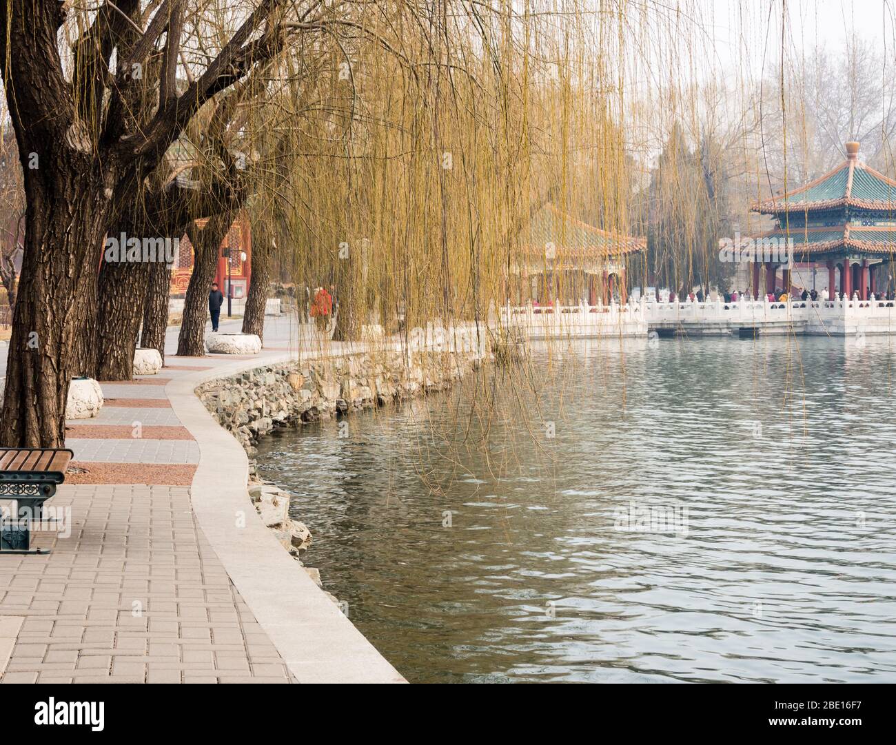 Willow trees chinese garden hi-res stock photography and images - Alamy