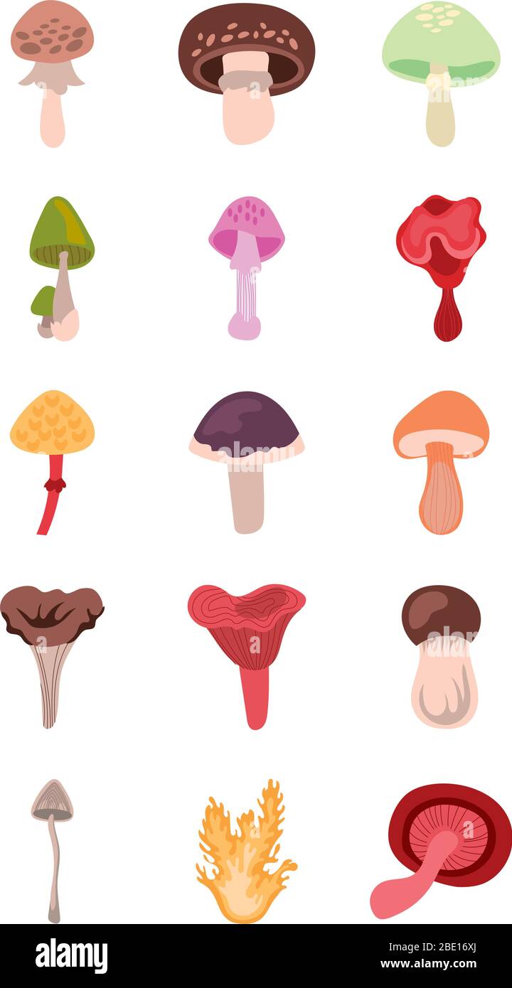 bundle of fungus set icons Stock Vector Image & Art - Alamy