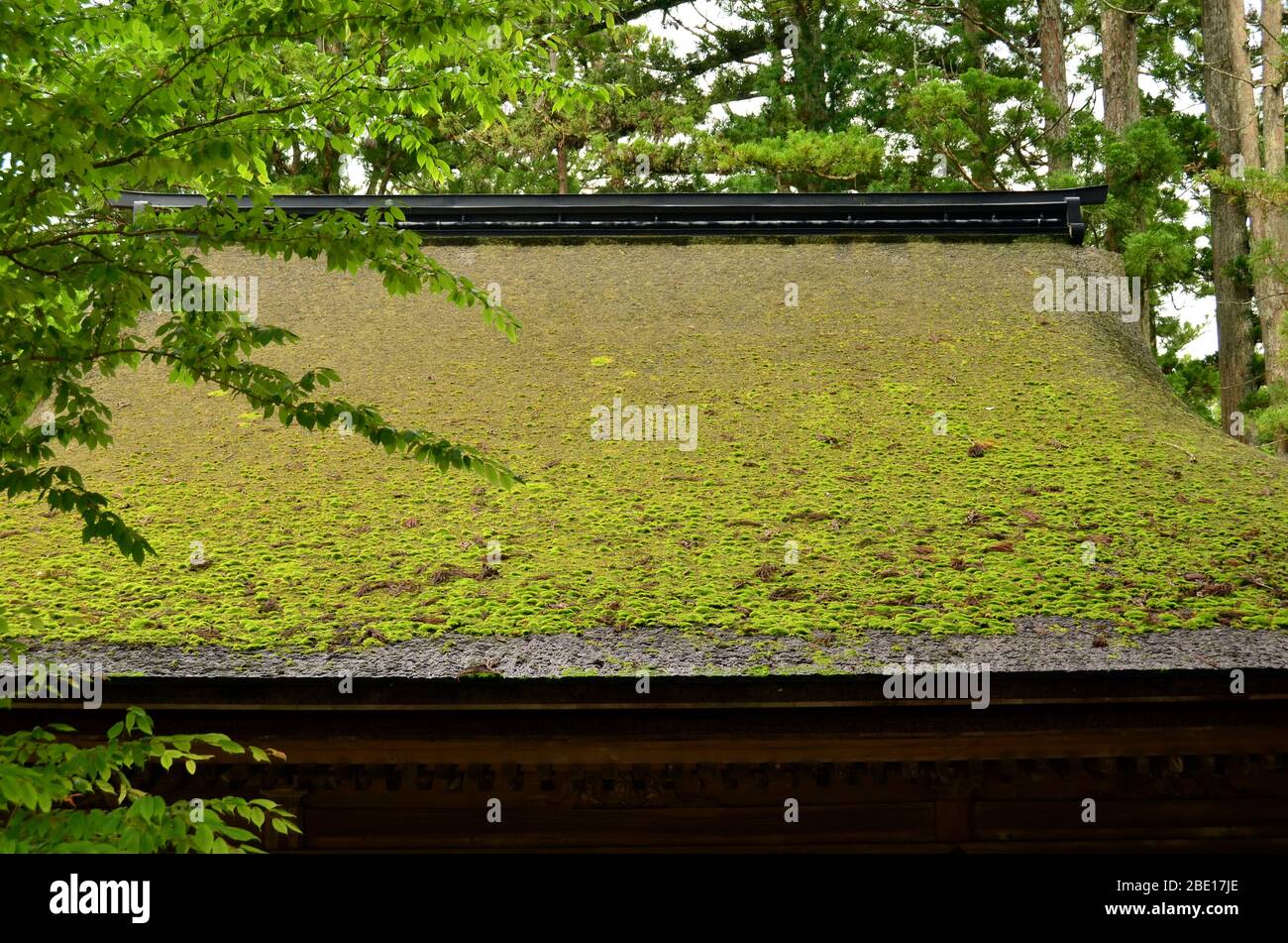 Moss covered temple roof Stock Photo - Alamy