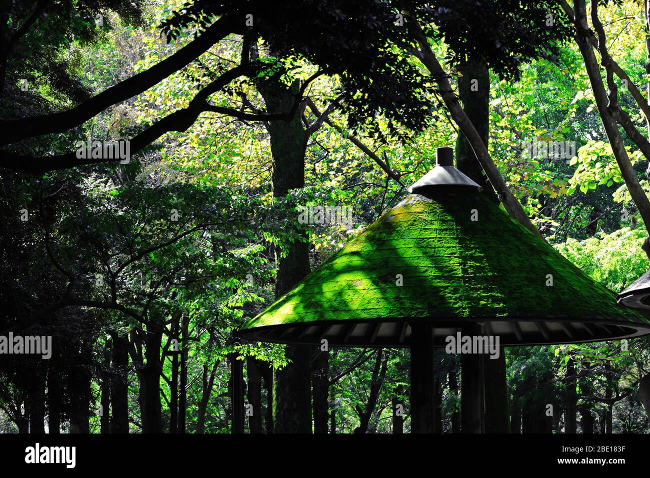 Gazebo in the park in the green forest Stock Photo - Alamy